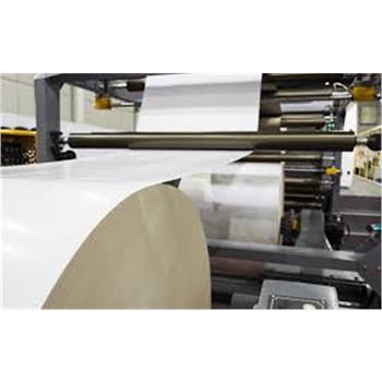 Scigiene Corporation - Paper Converters