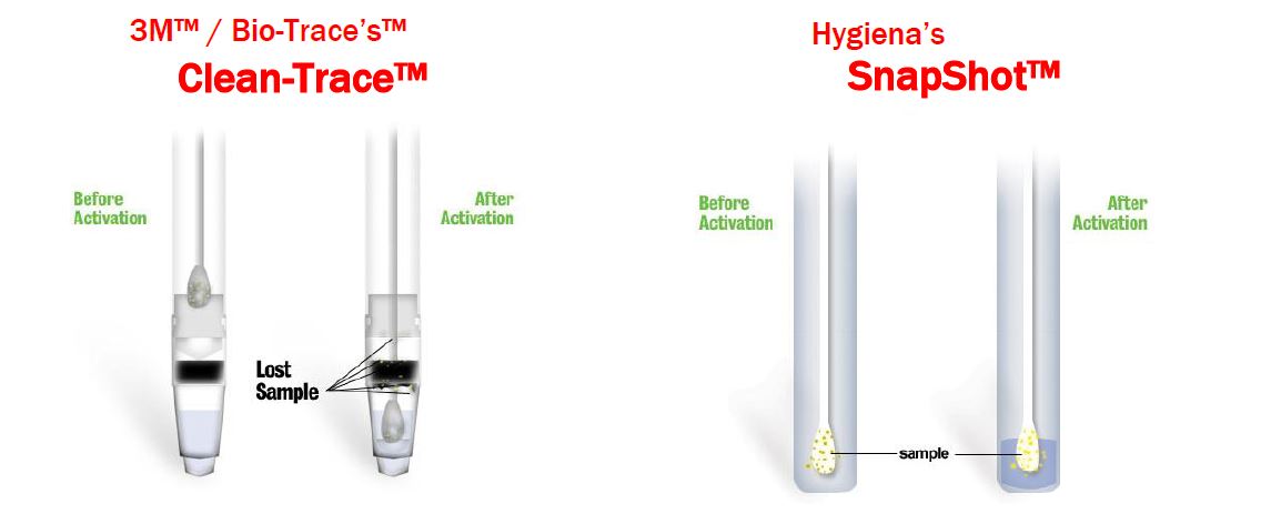 Scigiene Corporation