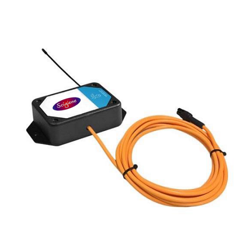 Scigiene Corporation